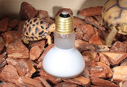 CTKcom 2-Pack 110V 75W Pet Heating Lamp,Basking Heat Spot Lamp, Reptile Heat Bulb for Turtle Aquarium Aquatic Reptile Lizard Heat Lighting E26/E27,White,2 Pcs
