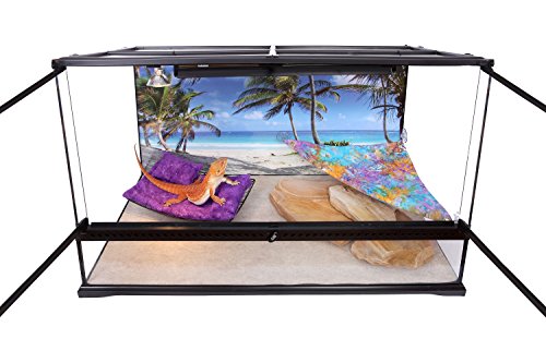 Carolina Custom Cages Natural Habitat Rocks, Painted Desert (one Large Size)