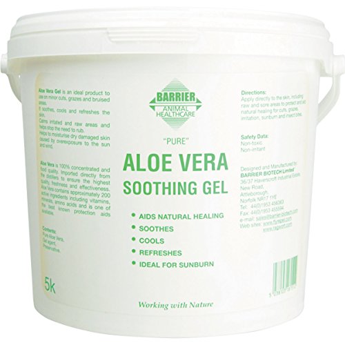 Barrier Unisex's Arrier Aloe Vera Soothing Gel, Clear, 250ml