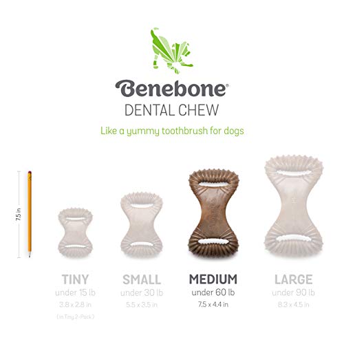 Benebone Dental Durable Dog Chew Toy for Aggressive Chewers, Real Bacon, Made in USA, Medium
