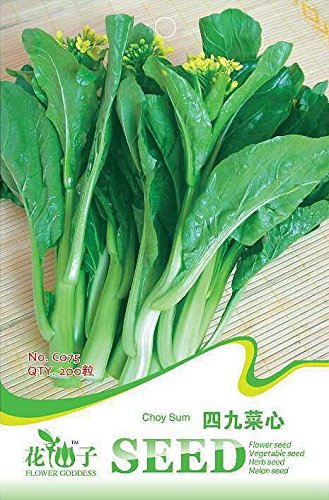 20 unità semi spinaci, semi di ortaggi cava semi di Colza facile da coltivare Verdure Verdi