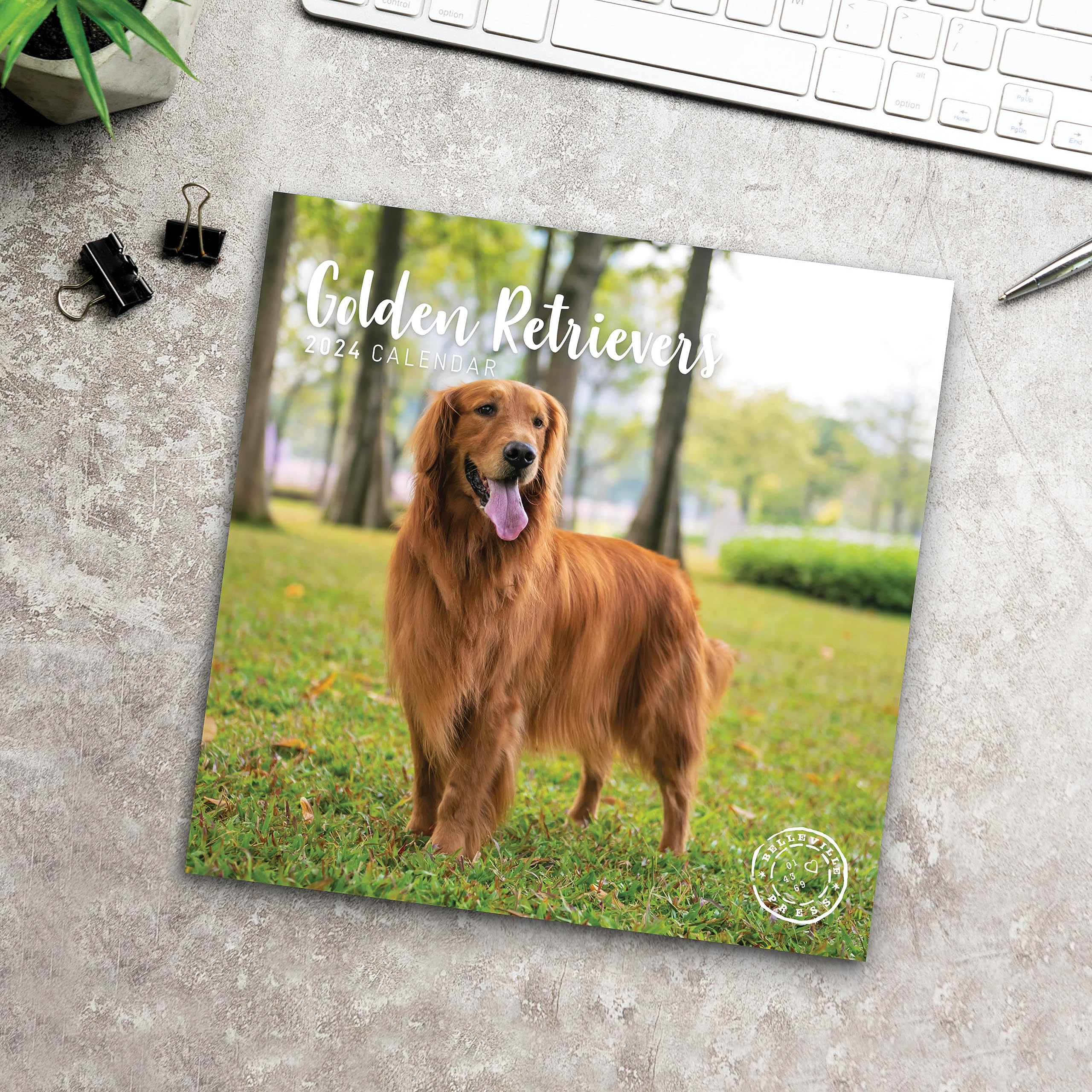 2024 Golden Retrievers Monthly Wall Calendar by Bright Day, 12 x 12 Inch Cute Dog Breed Gift