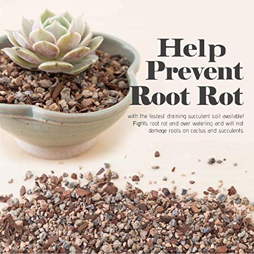 Bonsai Jack Succulent and Cactus Soil - Jacks Gritty Mix #111 - 2 Quarts β Fast Draining β Fight Root Rot β Optimized pH