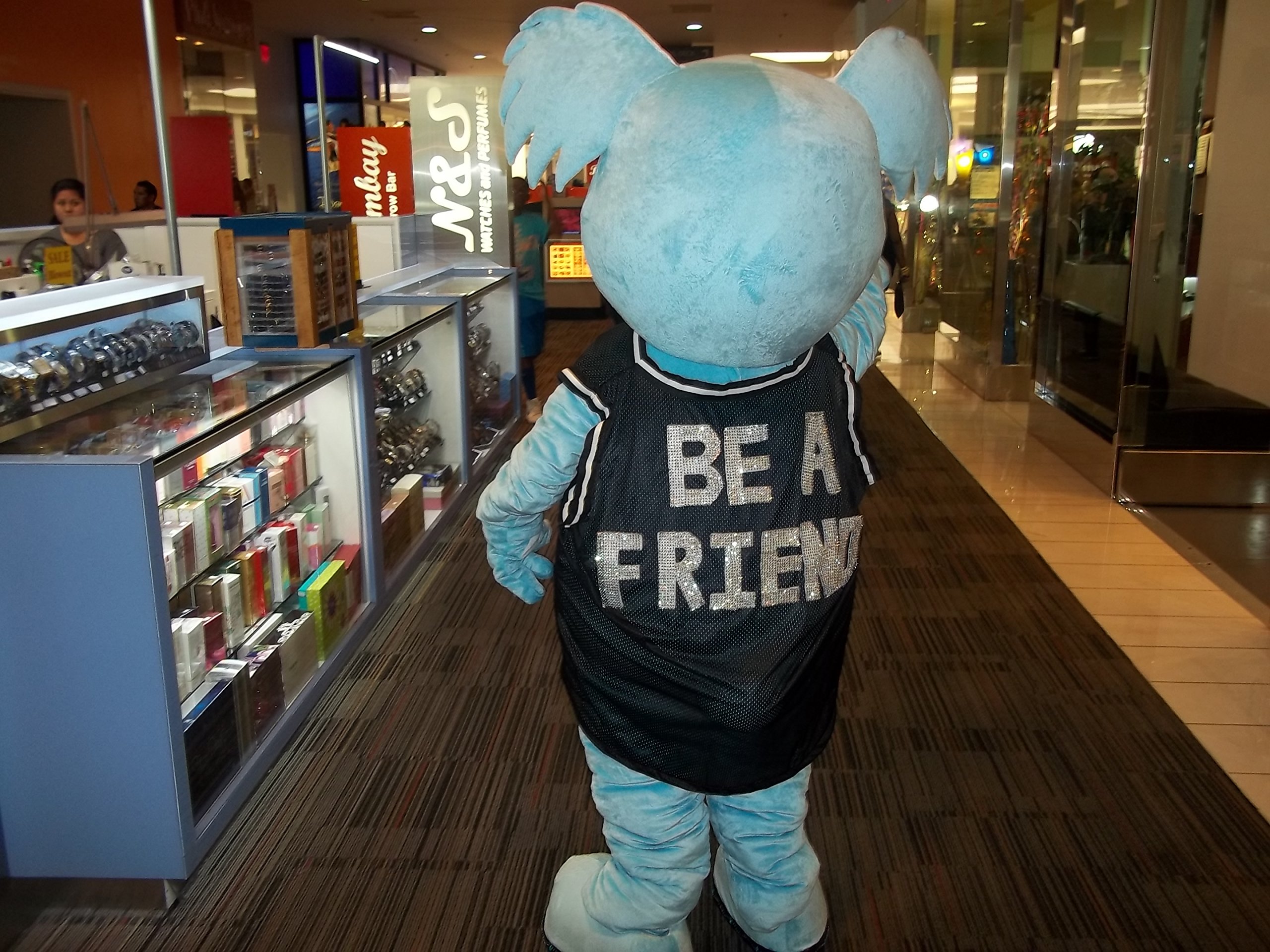 Big Koala Dream Room Party