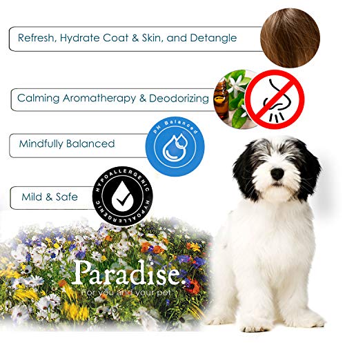Best Shot Scentament Spa Botanical Body Splash, Detangler Spray, Body Spray for Pets, Cat and Dog Cologne Spray, Lemon Vanilla, 8 Oz.
