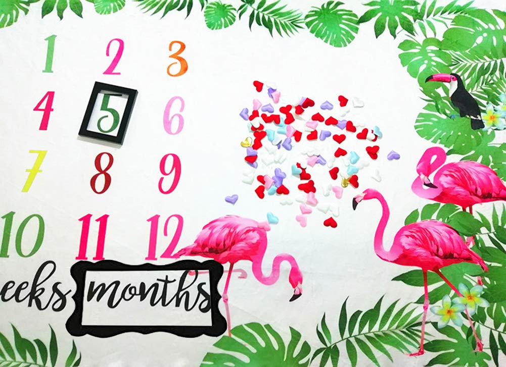 illikkuyax Baby Monthly Milestone Blanket, 40×60 Inches Infant First Year Pink Flamingo Milestone Blanket, Flannel Fleece, Photography Backdrop Photo Prop for Boy Girl