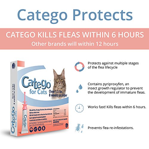 Catego Flea and Tick Control for Cats (6 doses) Over 1.5 lbs, 8 Weeks or Older