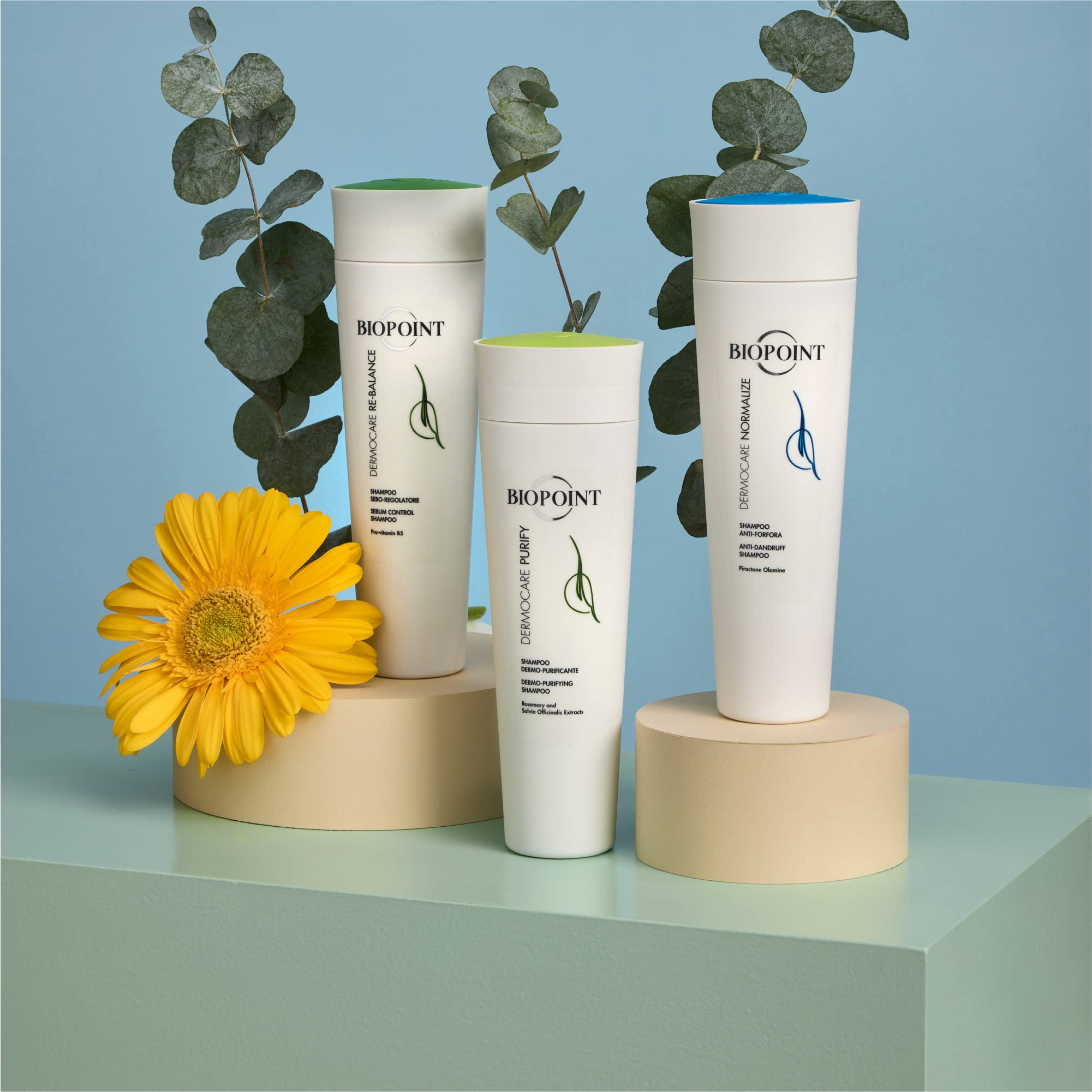 BIOPOINT Clarifying Shampoo for Greasy Scalp - Oily Hair Purifier and Build-up Remover, Sebum Normalizing and Delicate Cleansing