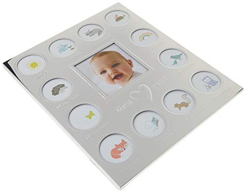 Carter's Baby's First Year Animal Theme Silver Metal Month by Month Picture Frame, 9.75" L x 11.75" H