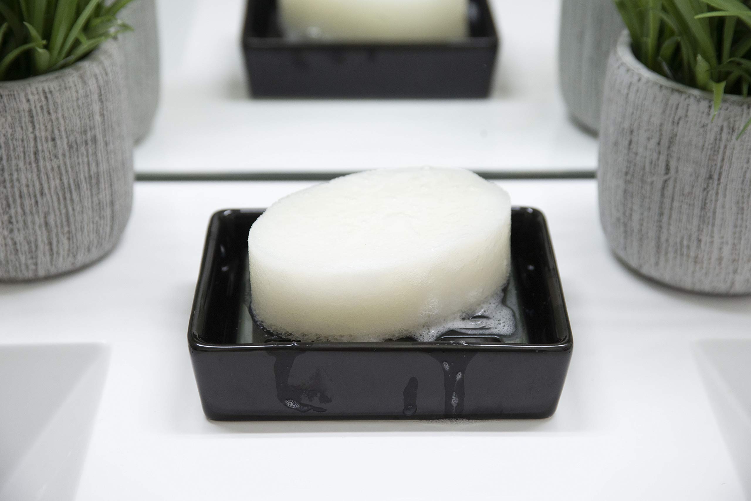 Spongeables Shaving Soap In a Sponge, Exfoliating Sponge for Use Before Shaving, Aloe and Shea Butter, Moisturizer and Exfoliator, Coconut, 2 Count