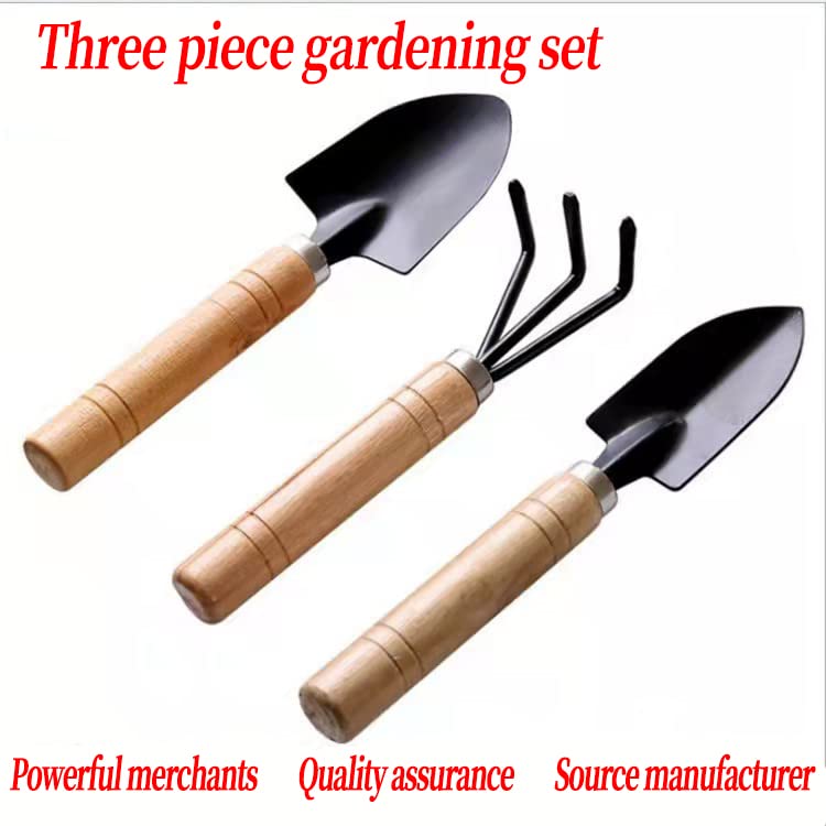 3Pcs Succulent Tools, This Tool Set is Especially Suitable for Office Gardening, Desktop Gardening and Indoor Bonsai,It Helps You All Kinds of Small Potted Plants,Meets Your Gardening Needs