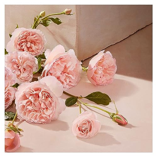 Chloe Chloe LEau Women 3.3 oz EDT Spray