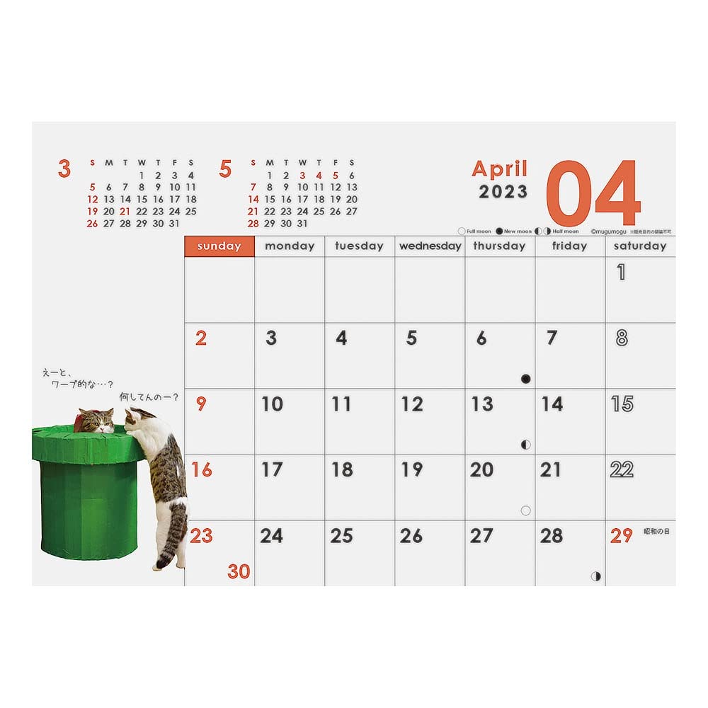 2023 Maru-chan Calendar (Tabletop) [Video Included] 1000123669, White