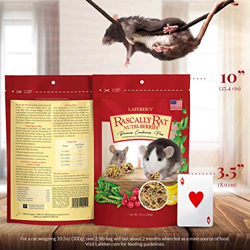 LAFEBER'S Rascally Rat Nutri-Berries, Made with Non-GMO and Human-Grade Ingredients, for Rats, 10 oz