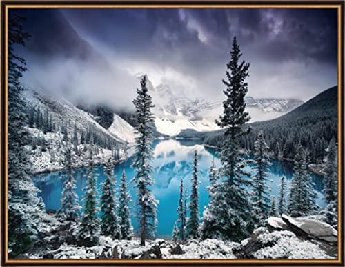 Artxfovy Stamped Cross Stitch Kits Beginners Full Range of Embroidery Starter Kits for Adults Printed Cross Stitching DIY Needlepoint Kit 11CT- Beautiful Lake Aurora 15.7×19.7 inch
