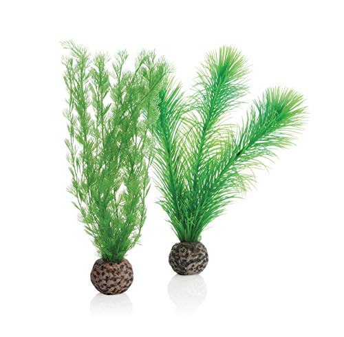 biOrb 46083.0 Feather Fern Set Small Green Aquariums