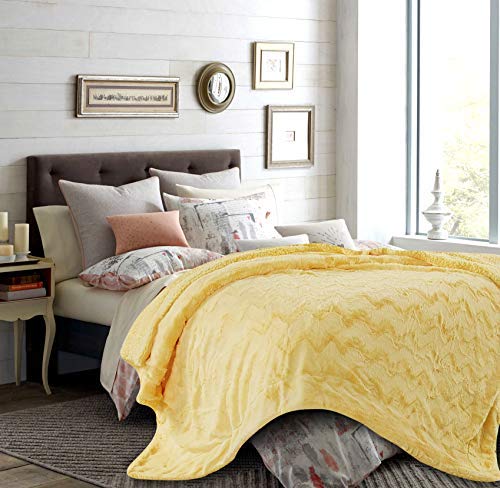 Chanasya Soft Wave Faux Fur Throw Blanket - Soft, Lightweight Reversible Sherpa & Minky Blanket - 50" x 65β - Yellow