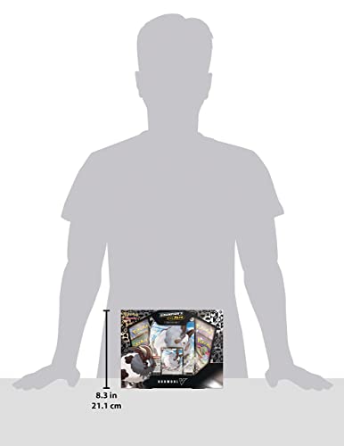 Pokémon TCG: Champion's Path Collection- Dubwool V, Multicolor (820650807732)