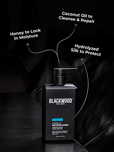 Blackwood For Men Hydroblast Moisturizing Shampoo - Shampoo for Coarse, Dry, & Curly Hair - Infused with Ginseng & Ginger - Natural Vegan Formula - Sulfate Free, Paraben Free, & Cruelty Free (8.92 Oz)