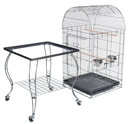 Bird Parrot Cage Cockatiel Amazon African Grey Caique Conure, 20 X 20 X 65"h
