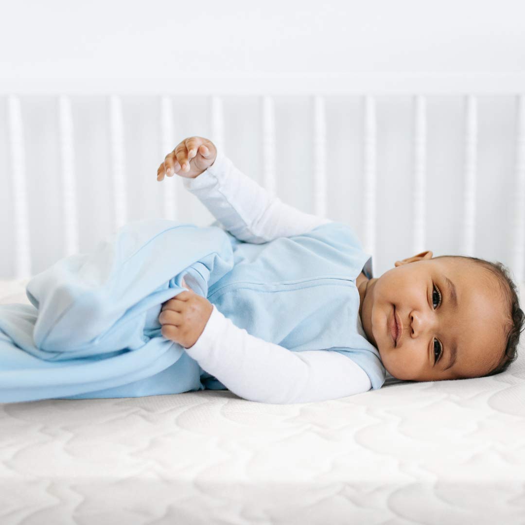 HALO DreamWeave Breathable Mesh Baby Crib Mattress and Aden + Anais Essentials Crib Sheets, White & Briar Rose
