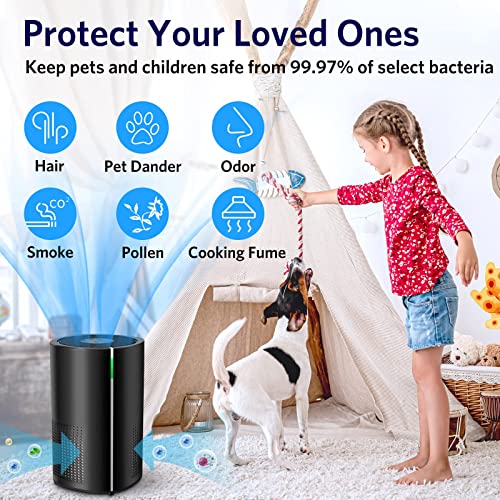 Air Choice Poratble Swamp Cooler Fan, Oscillating Evaporative Air Cooler for Room, Portable Air Conditioner, Instant Cool & Easy Use