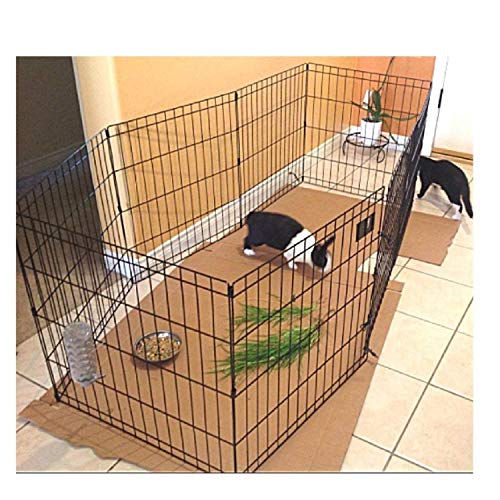 Bunny Rabbit Pen Exercise Indoor 41-Inch with Door House Pet Dog 8 Panel Gate Yard Enclosure X Pen Xpen Fence Playpen & by OISTRIA