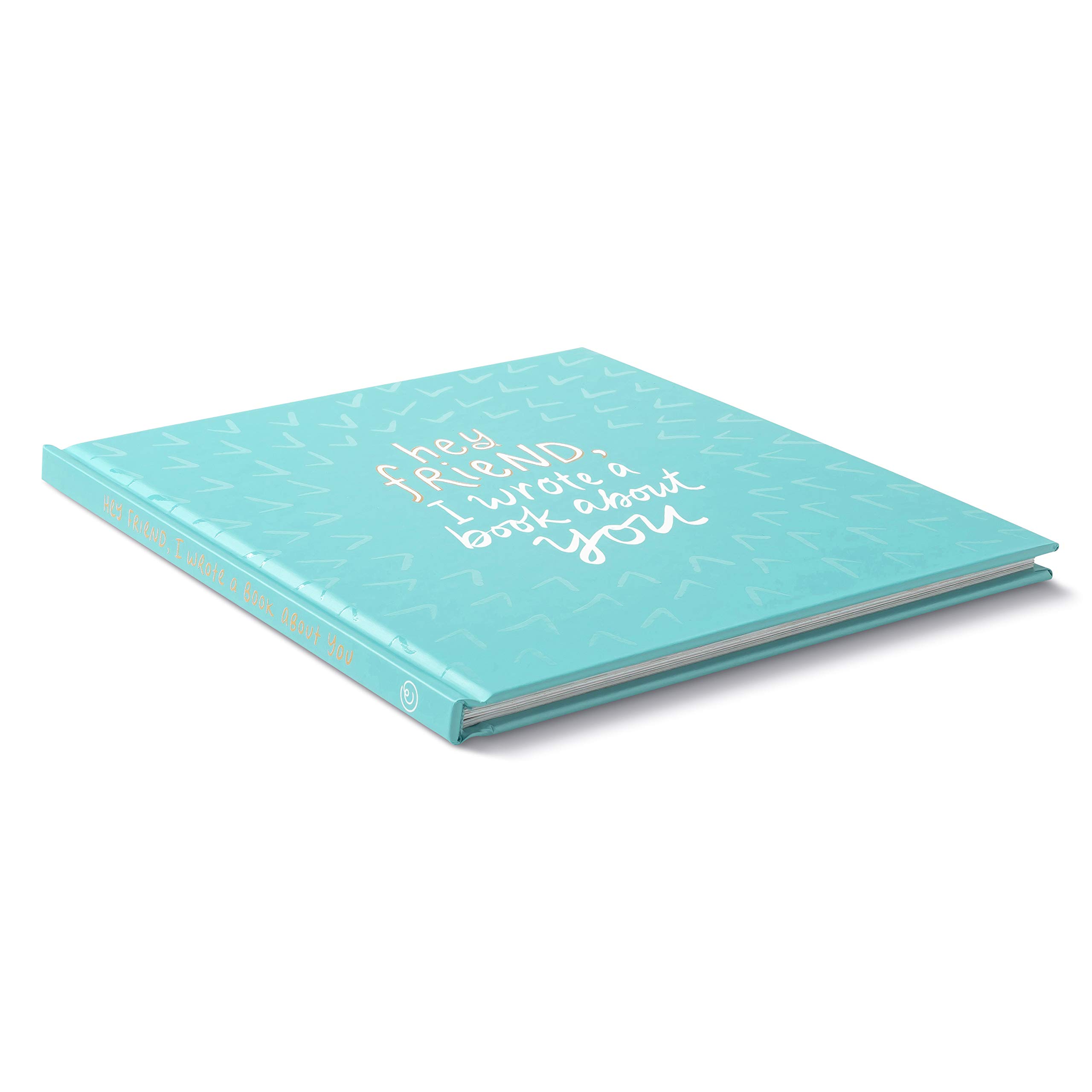 Compendium Hey Friend, I Wrote a Book About You, 7304
