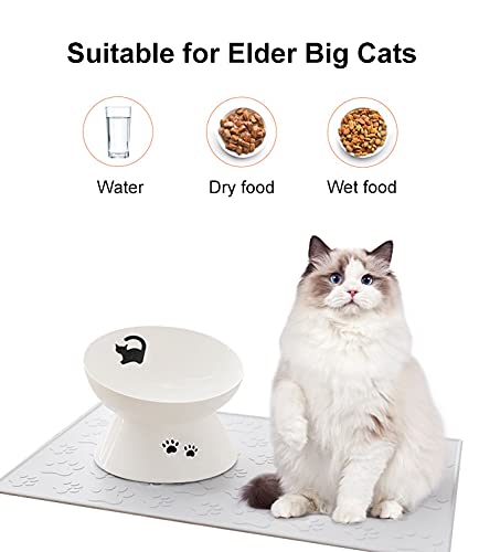 immaculife Ceramic Raised Cat Food Bowl, Slanted Cat Dish, Tilt Angle Protect Cat's Spine, Stress Free, Backflow Prevention