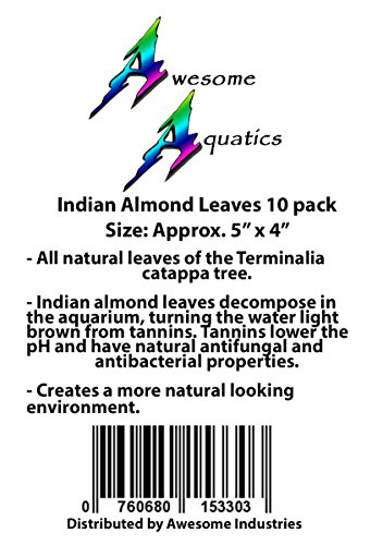 Betta/Shrimp Leaves 10 4"-6" Premium Catappa Indian Almond Leaves Natural Habitat Tannin Producing Improves Immunity, Easy to USE Awesome Aquatic