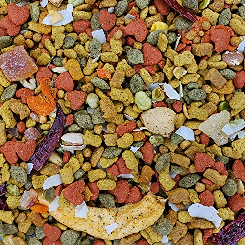 Intune Higgins Harmony Macaw and Cockatoo Food 3Lb, Multicolor (038217)