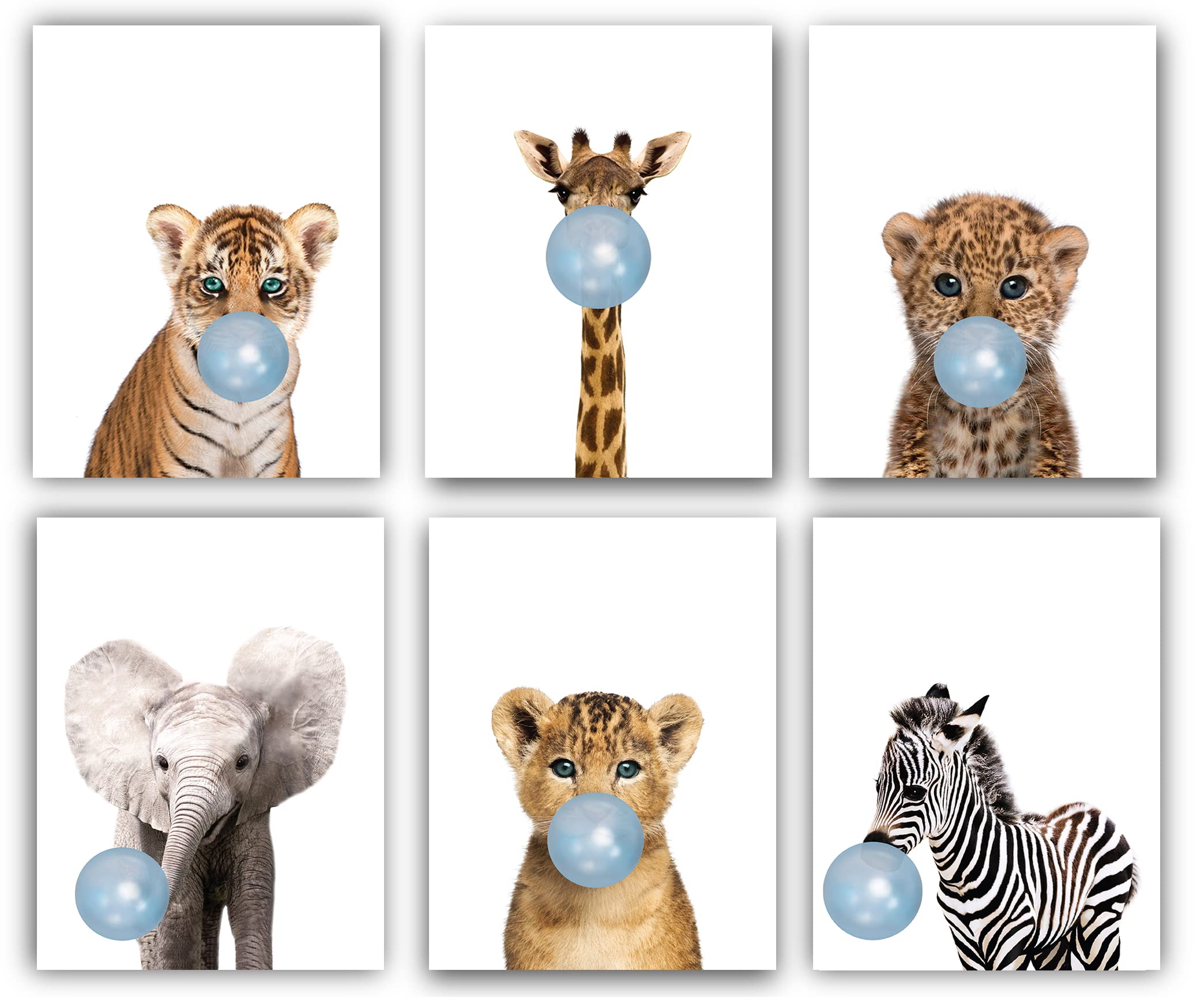Designs by Maria Inc. Safari Blue Bubblegum Baby Animals Nursery Decor Art - Set of 6 (UNFRAMED) Wall Prints 8x10 (Blue)
