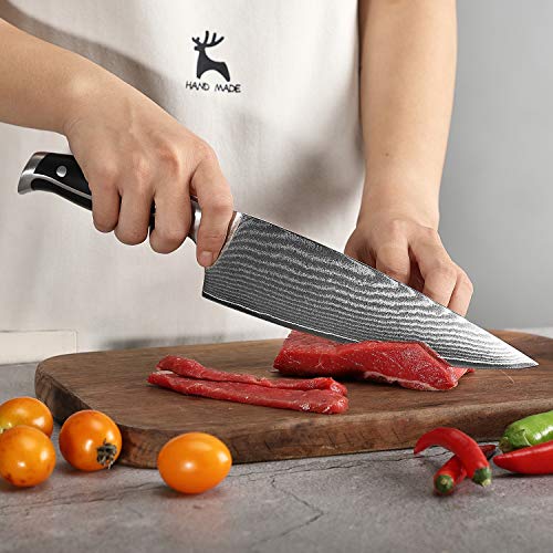 Damascus Kitchen Knife, 8 Inch Chef Knife Professional Kitchen Knife Forged with VG10 Super Steel 67-Layer Damascus, Non-slip ABS Ergonomic Triple Rivet Handle, Razor Sharp Lightweight Multipurpose