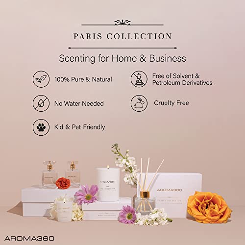 Aroma360 - Dream On - Paris Collection Candle Trio - Luxury Scented Candles with Essential Oils - White Tea, Sweet Vanilla & Earthy Cedar - Aromatherapy - Soy Candles - 80hr Burn - 11 oz - Set of 3