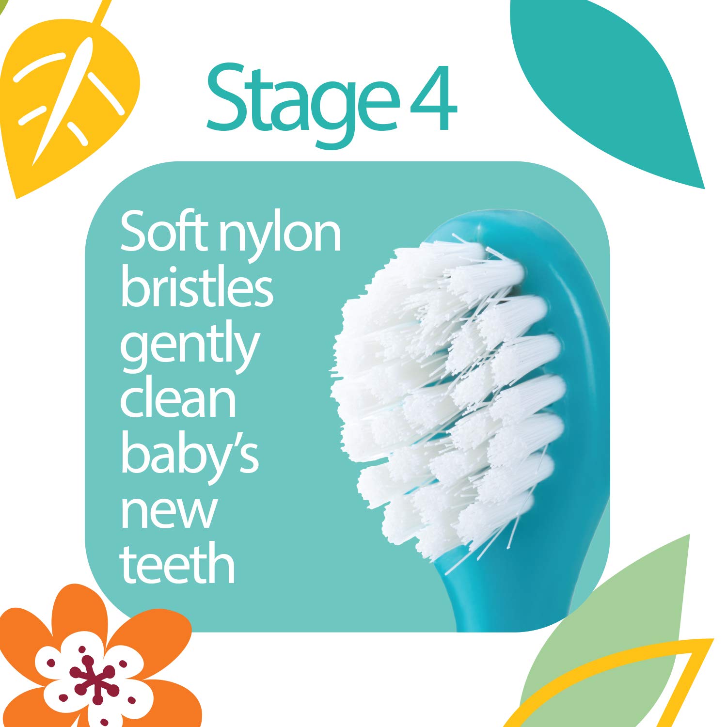 Dr. Talbot's Oral Care Set with Stand; 4-Stage System with 1 Silicone Finger Massager, 2 Massaging Brushes, 1 Soft Nylon Bristle Toddler Toothbrush; 0+ Months, Blue & Aqua