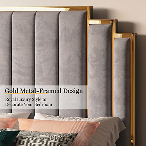 Albott King Size Platform Bed Frame, 65" Velvet Upholstered Bed with Gold Trim Headboard/Wooden Slats/No Box Spring Needed/Grey