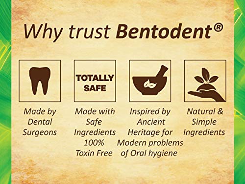 Bentodent Natural Toothpaste for Family Including Kids (Premium Mint)
