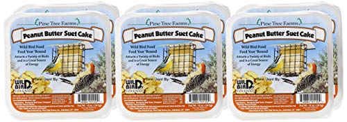 6 Pack Pine Tree Farms Peanut Butter Suet Cake Wild Bird Food 12 Ounce
