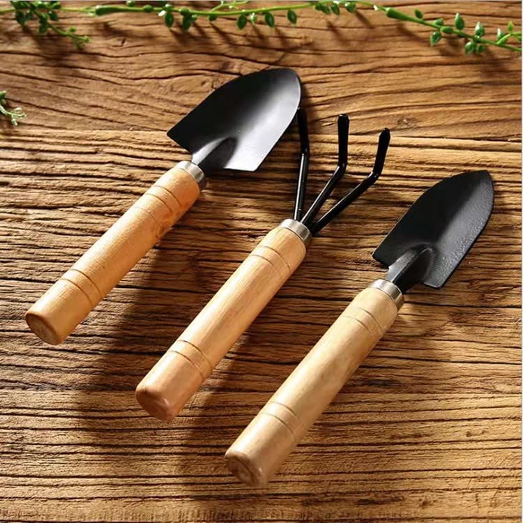 3Pcs Succulent Tools, This Tool Set is Especially Suitable for Office Gardening, Desktop Gardening and Indoor Bonsai,It Helps You All Kinds of Small Potted Plants,Meets Your Gardening Needs