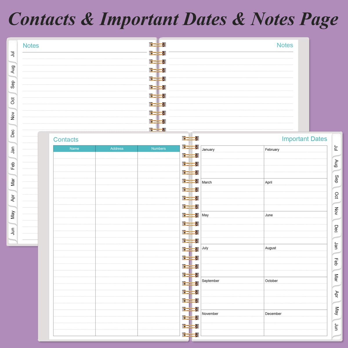 2024-2025 Appointment Book & Planner - A5 2024-25 Daily Hourly Planner from July 2024 - June 2025, Weekly Appointment Book with 30-Minute Interval, Medium 6.4" x 8.5", Purple