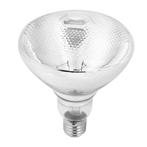 Eboxer Livestock Heat Lamp, 175W Sunlight Lamp Heating Light Bulb for Reptile Snake Piglet, etc (175W)
