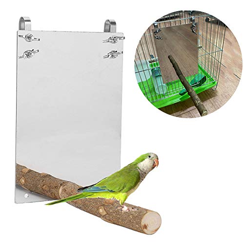 Bird Mirror, Stainless Steel Medium Small Parrots Mirror Bird Mirror Toy with Wooden Standing Rod for Parrot Parakeet Cockatiels