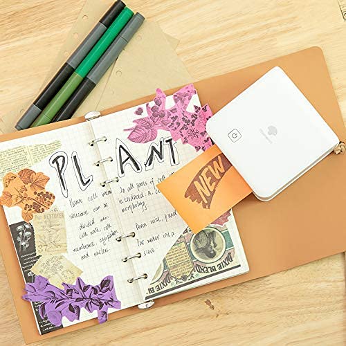 Phomemo M02 Pro Pocket Printer - with 3 Rolls Transparent Gold Paper, Compatible with iOS + Android for Plan Journal, Study Notes, Art Creation, Work, Gift