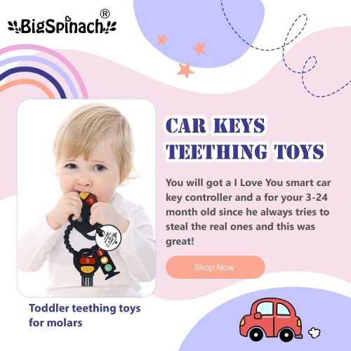 BIGSPINACH Baby Teething Keys Toys 6 to 12 Months,Gothic Car Keys Baby Teether Combo Set,Car Key Remote Toy Controller for Toddler(Gothic) (Gothic, Black)