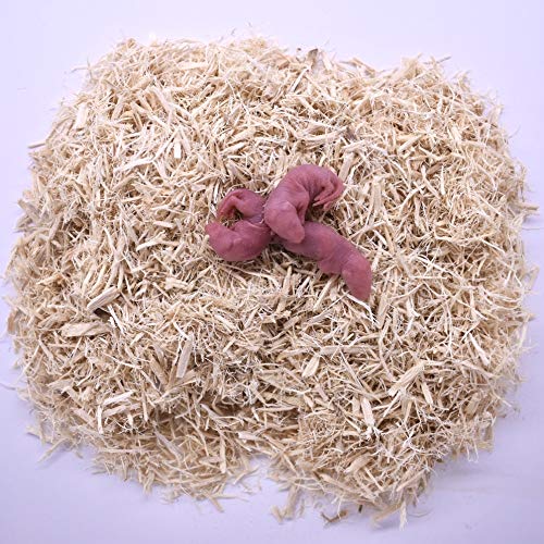 MiceDirect Frozen Feeder Mice 25 Small Pinkies & 25 Pinkies Food for Baby Hognose Corn Milk Snakes