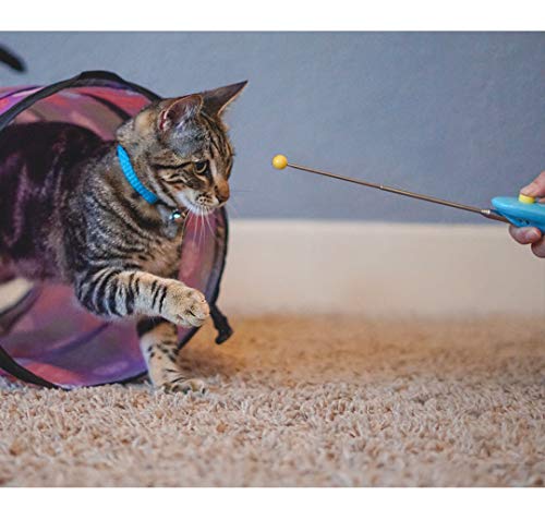 CAT SCHOOL Clicker Training Kit for Cats - 1 Cat Training Clicker, 1 Target Stick, 1 Step-by-Step Instruction Booklet - Clicker Tools for Cat Training, Fist Bump Training, Positive Behavior
