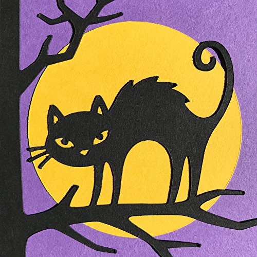 Black Licorice Cardstock Paper - 12 X 12 Inch 100 Lb. Heavyweight Cover - 25 Sheets From Cardstock Warehouse