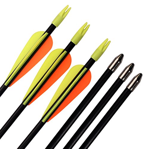 28'' Fiberglass Arrows Archery Target Arrow Practice Shooting Practice Target for Professional Youth Archery Recurve Bow Shooter(Pack of 12)