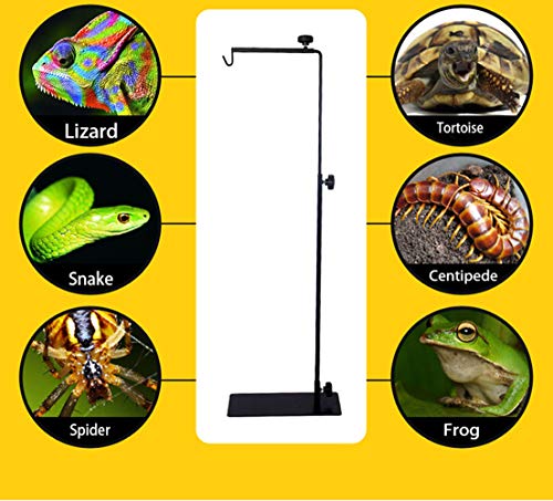 Hamiledyi Reptile Lamp Stand Landing Lamp Stand Bracket Adjustable Floor Light Holder Stand Metal Lamp Support for Reptile Glass Terrarium Heating Light