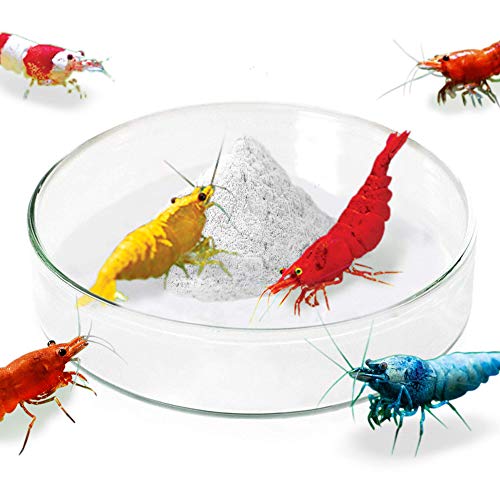 JOR Shrimp, Frog & Gecko Feed Bowl, 2.5-Inches Wide, 0.5, Inches Depth, Tough Borosilicate Glass, Heavy-Duty, Transparent Basin, 1 pc per Pack